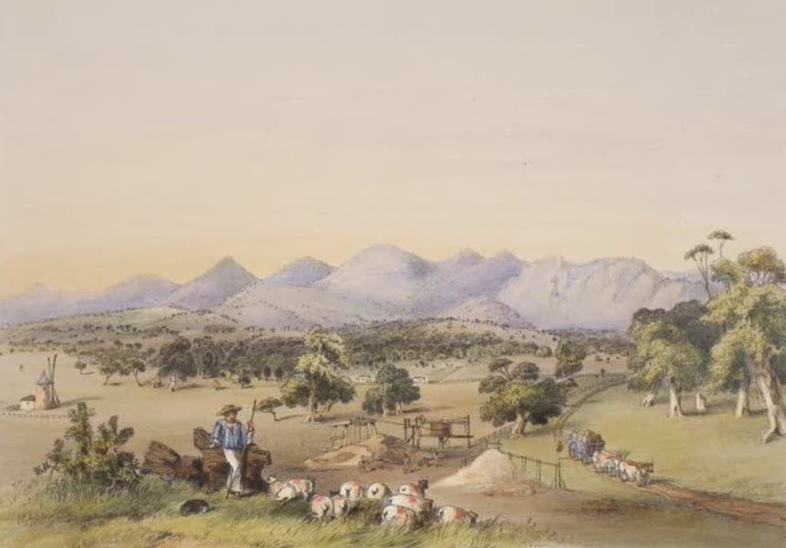 Description of the Barossa Range and its Neighbourhood in South ...