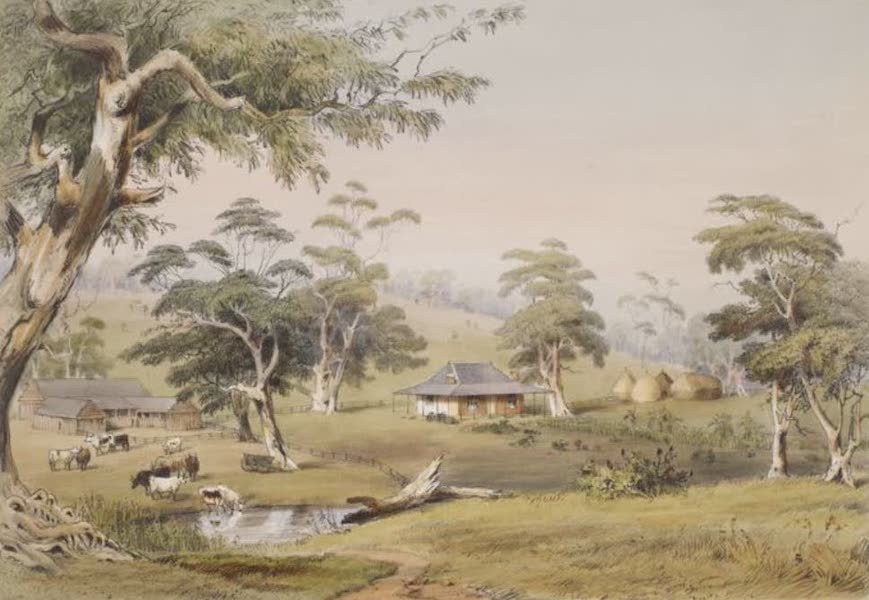 Description of the Barossa Range and its Neighbourhood in South ...