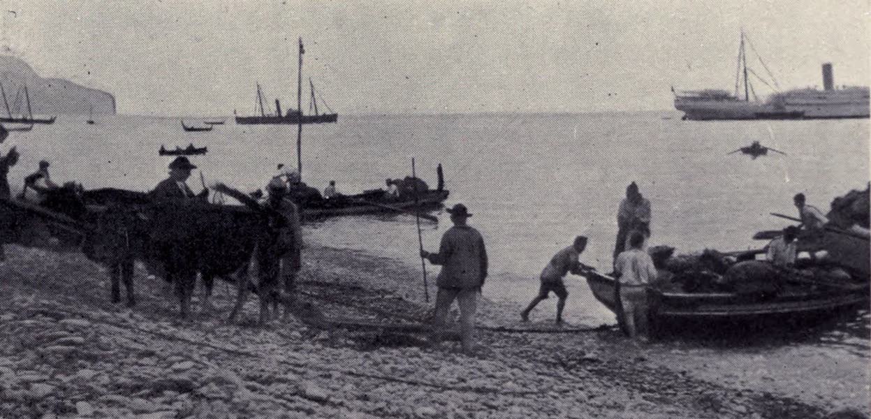 Madeira Collection | History Archive