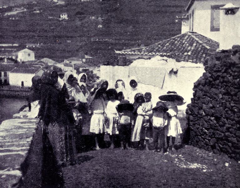 Madeira Collection | History Archive