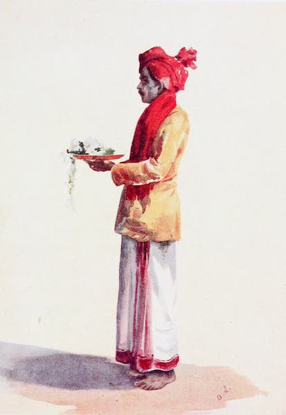 The Cook at Government House, Madras | History Archive