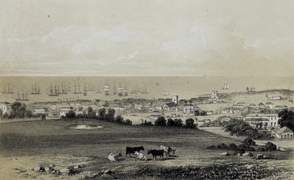 The History of Barbados (1848) | History Archive