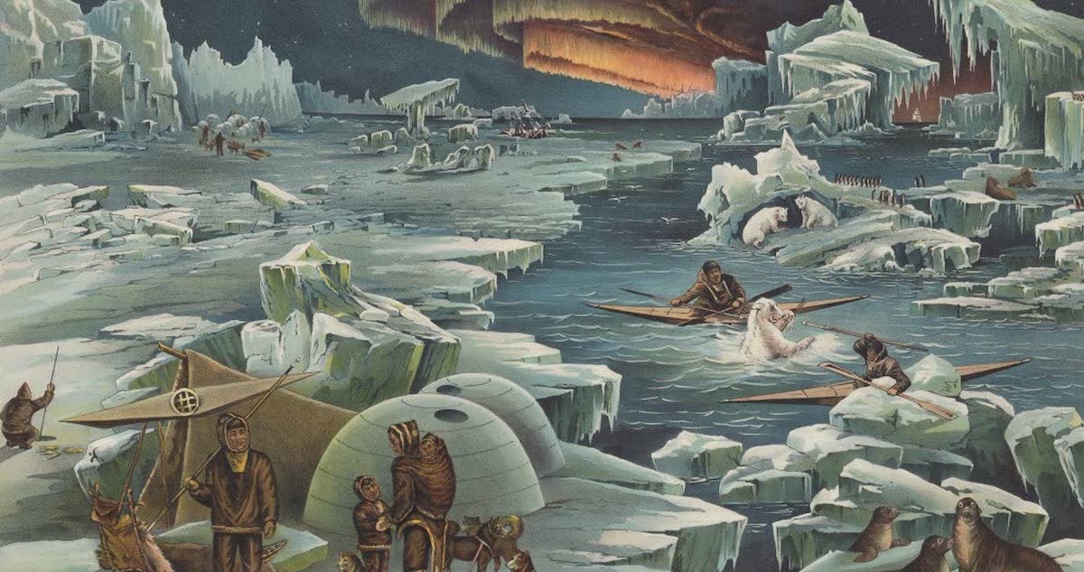Arctic Collection | History Archive