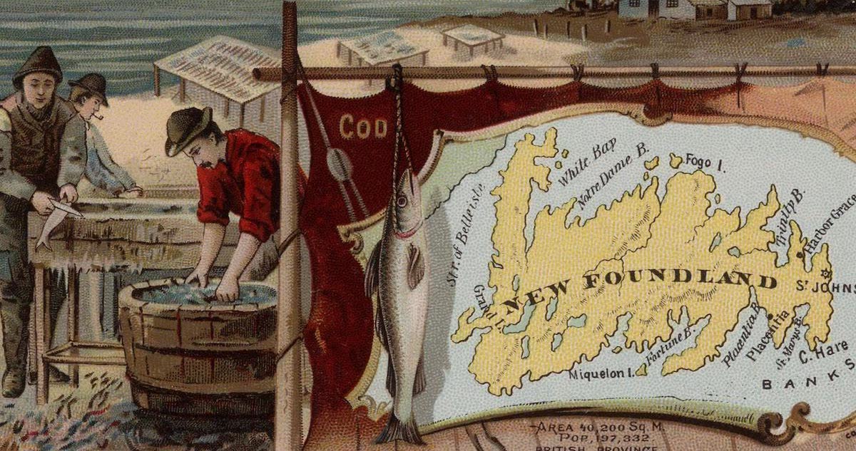 Newfoundland Collection | History Archive